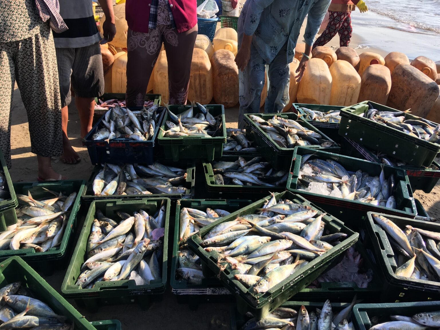 Fish Market – Econ Class Experiments